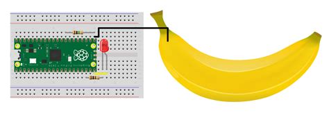 How To Use A Banana As Touch Input For Raspberry Pi Pico Tom S Hardware