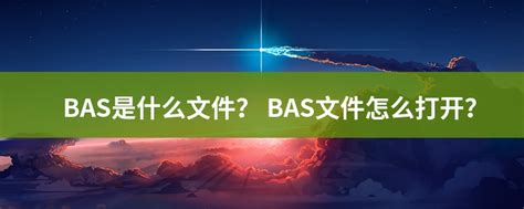 bas文件扩展名 bas是什么格式 bas文件怎么打开 文件百科