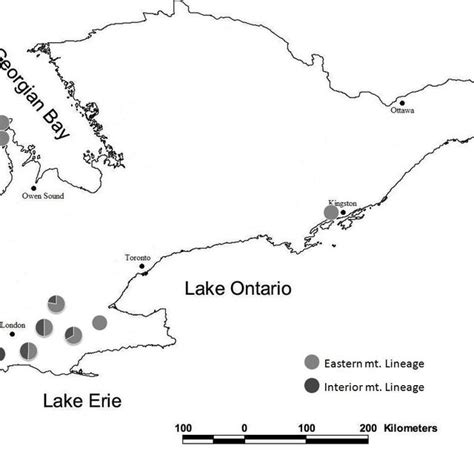 A Map Depicting The Frequency Of Hybrid Pseudacris Crucifer Individuals