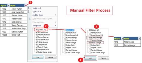 Excel Filter Types And Use Filter In Excel Tips SKOTechLearn Tips
