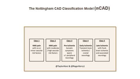 Cervical Arterial Dysfunction And Clinical Practice Moving Forward Pptx