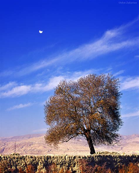 Twan Classic Eclipse