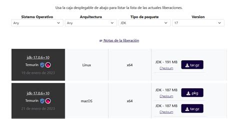 Instalar Java En Windows Mediante Temurin Java Makigas