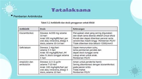 Case Report Typhoid Fever Ppt