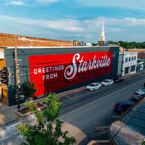 Starkville Public Library Starkville Mississippis College Town