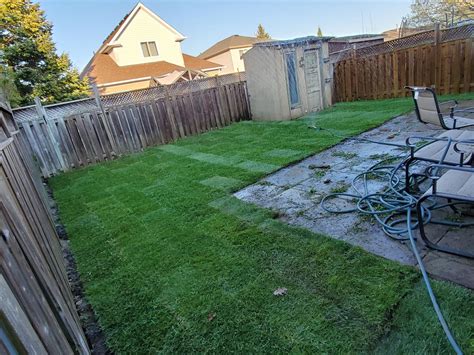 Expert Sodding Canada Portfolio Transform Your Lawn