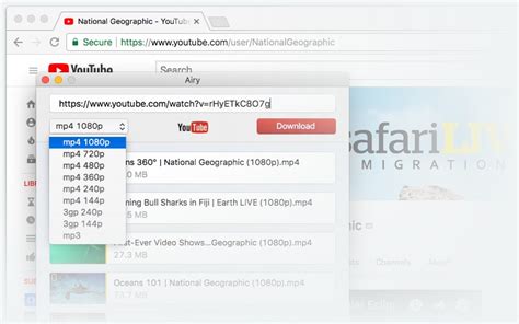 top youtube downloader chrome extensions in 2023
