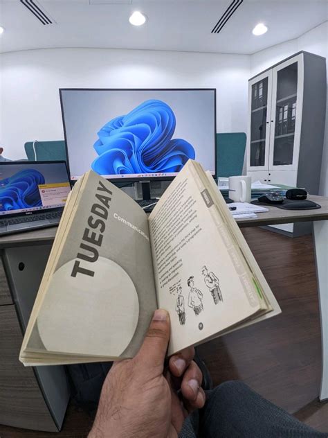 Tuesday Mohamed Shibil