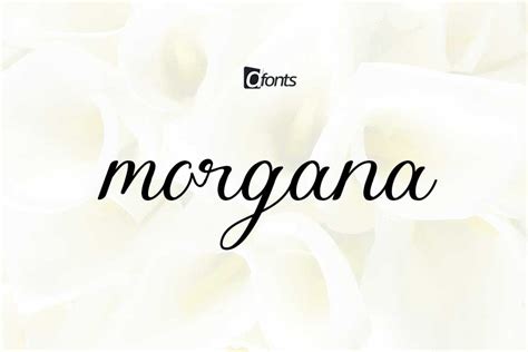 morgana signature script font dfonts
