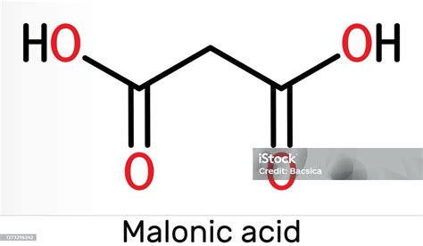 Asam Malonat Dikarboksilat Molekul Asam Propanadioa Bentuk Terionisasi