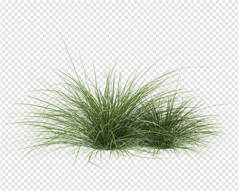Premium Psd Grass In 3d Rendering Isolated