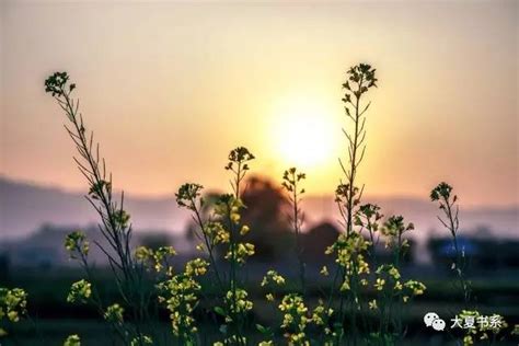 读傅国涌先生的书，与 美的相遇”有一场约会