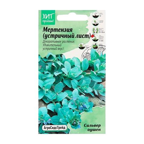Мертензия Агросидстрейд Устричный лист Сильвер Оушен АСТ 126413 ...