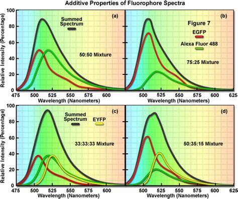 Zeiss Microscopy Online Campus Introduction To Spectral Imaging