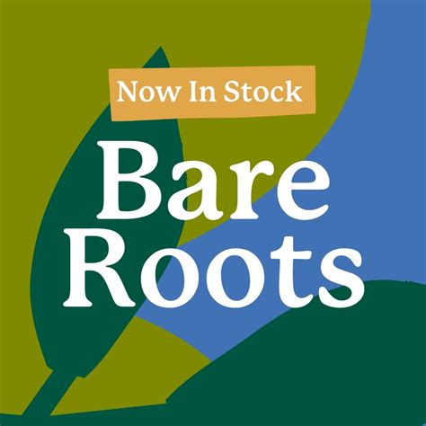 Hedges Direct Hedges Online Uks Leading Specialists