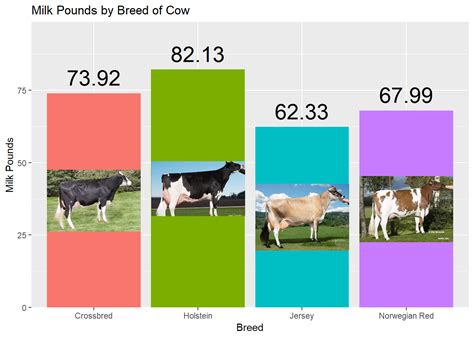 Milk Produced By Cows Milk Production In The World Pekb