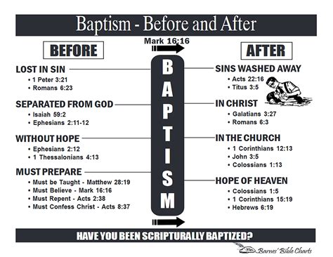 Conscious Life After Death Proven From The Bible Artofit