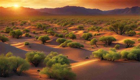 Desert Ecosystems Biodiversity And Adaptation