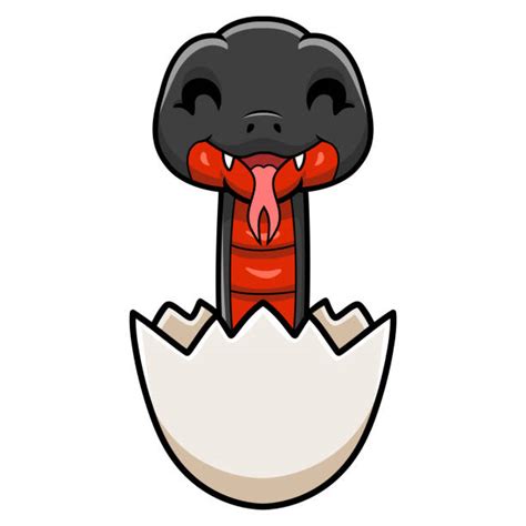 60 Python Egg Illustrations Royalty Free Vector Graphics And Clip Art