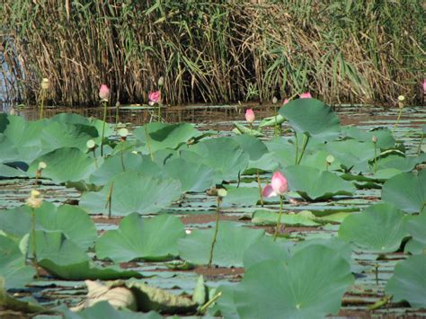 سیاست‌های زیست محیطی توسعه گردشگری و اهمّیت رویکرد برنامه‌ریزی محیطی
