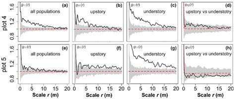 Spatial Distribution And Spatial Correlation Of The Upstory And