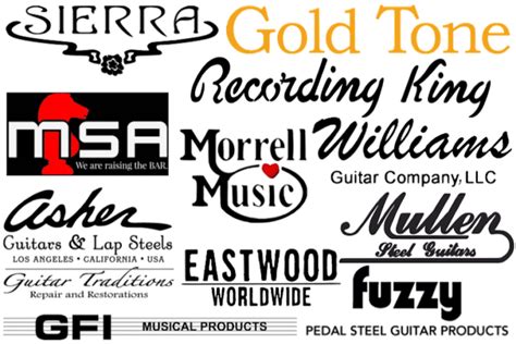 Top 11 Best Steel Guitar Brands On The Market