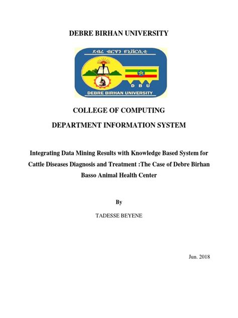 31 pdf pdf data mining conceptual model