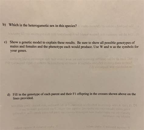 Solved Genetics This Is All The Information I Was Chegg Com