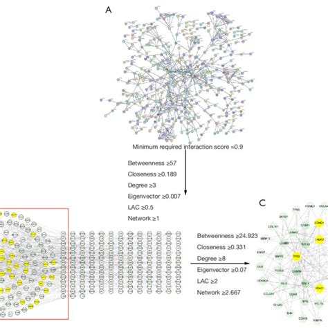 Protein Protein Interaction Networks Of The Clinically Relevant Degs
