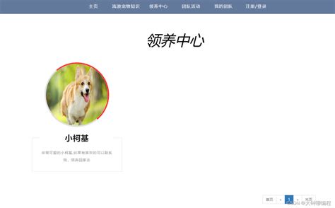 计算机毕业设计系列基于ssm的宠物领养管理系统基于ssm的宠物管理系统的项目发布介绍 Csdn博客 计算机毕业设计系列基于ssm的宠物领养管理系统基于ssm的宠物管理系统的项目发布介绍 Csdn博客