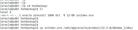 Ora Backup Spfile