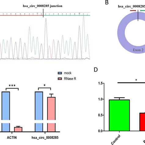 Quantitative Real Time Polymerase Chain Reaction Validation Of Selected