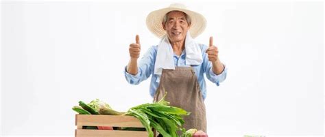 消脂通便，调节血压，3月老人要常吃这菜~ 油麦菜 蔬菜 麻酱