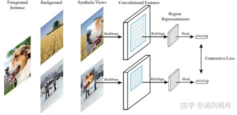 目标检测预训练模型基于对比学习相关论文梳理 知乎