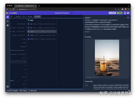 发现一款json可视化工具神器，惊艳了！ 知乎