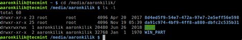 How To Mount Windows Partitions In Ubuntu