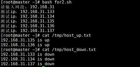 Shell自动化脚本编程练习2 Csdn博客