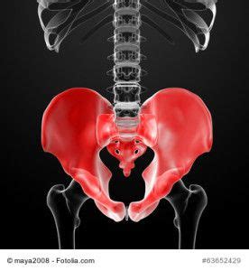 Correcting Posterior Pelvic Tilt Exercise