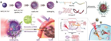 Nir‐triggered Photodynamic Therapy A Schematics Of Ucnpstio2‐based Download Scientific