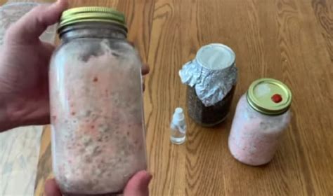Popcorn Tek The Ultimate Guide Grocycle
