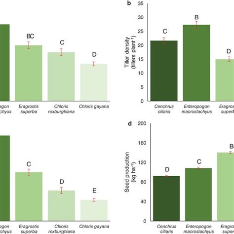 Plant Density A Tiller Density B Basal Cover C And Seed