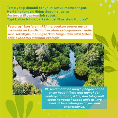 Kepentingan Hutan Hujan Tropika Doroteo Lori