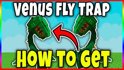 How To Get Venus Fly Trap Seed In Grow A Garden Roblox Youtube