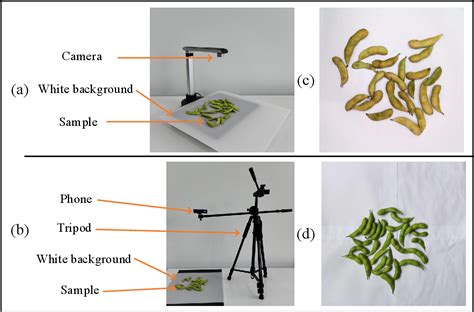 Figure 1 From High Throughput Classification And Counting Of Vegetable
