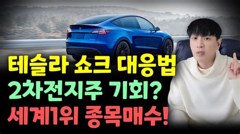 테슬라 쇼크 2차전지주식 기회배당락lg에너지솔루션lg전자엘앤에프하나투어대창단조에코프로리오프닝화장품주불사조 Youtube