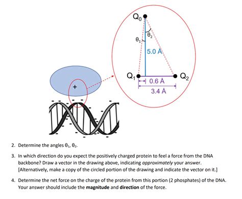 Determine the angles θ1 θ2 In which direction do you Chegg com