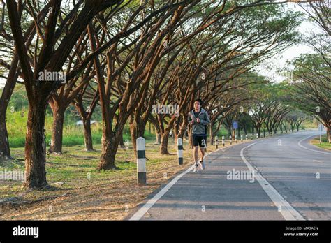 Fitness Man Running In The Park Stock Photo Alamy