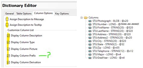Tip IDE Data Pad Configure To Show Data Types Key Components Properties And More ClarionHub