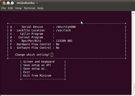 ubuntu serial terminal trinew