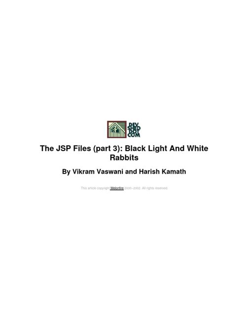 Java The Jsp Files Part 3 Black Light And White Rabbits By Vikram